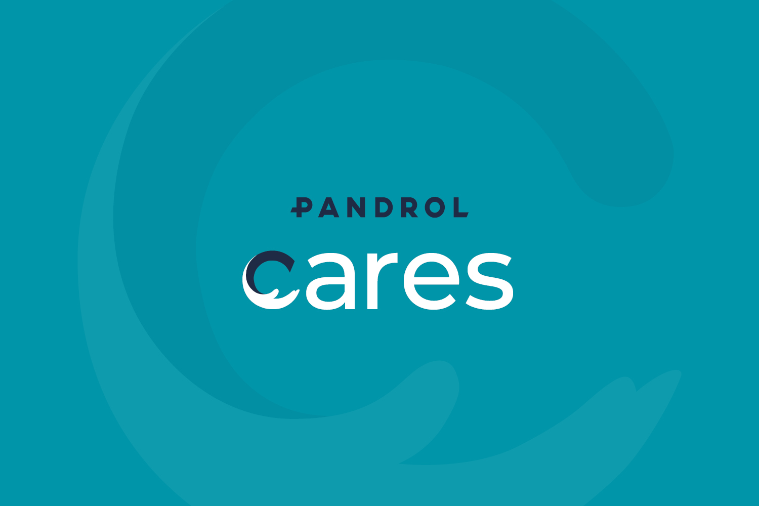Pandrol Cares, our Global Community program - Pandrol